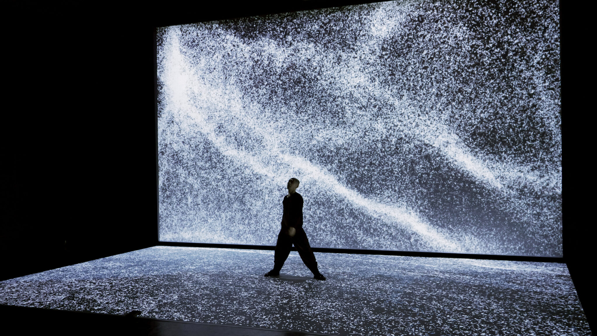assimilating and Moving State 1 – FringeArts